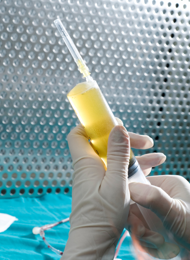 Increased Fertility and In vitro Fertilization (IVF) · Swiss Clinics